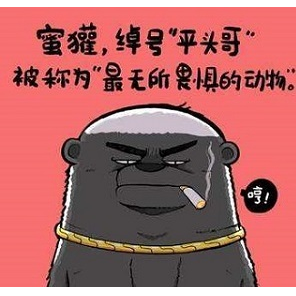 raw.githubusercontent.com未能解析” 解决方案 - 今日头条